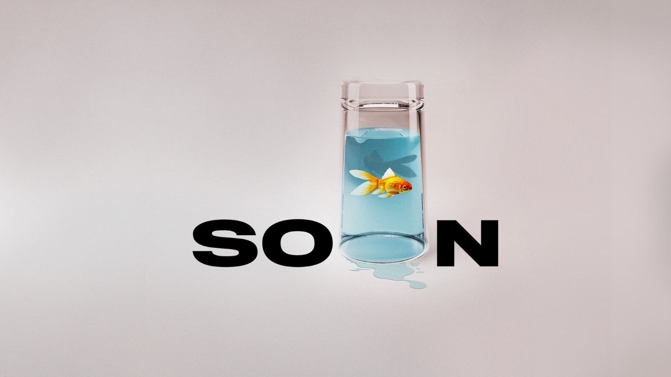 Ludus - Soon Musical