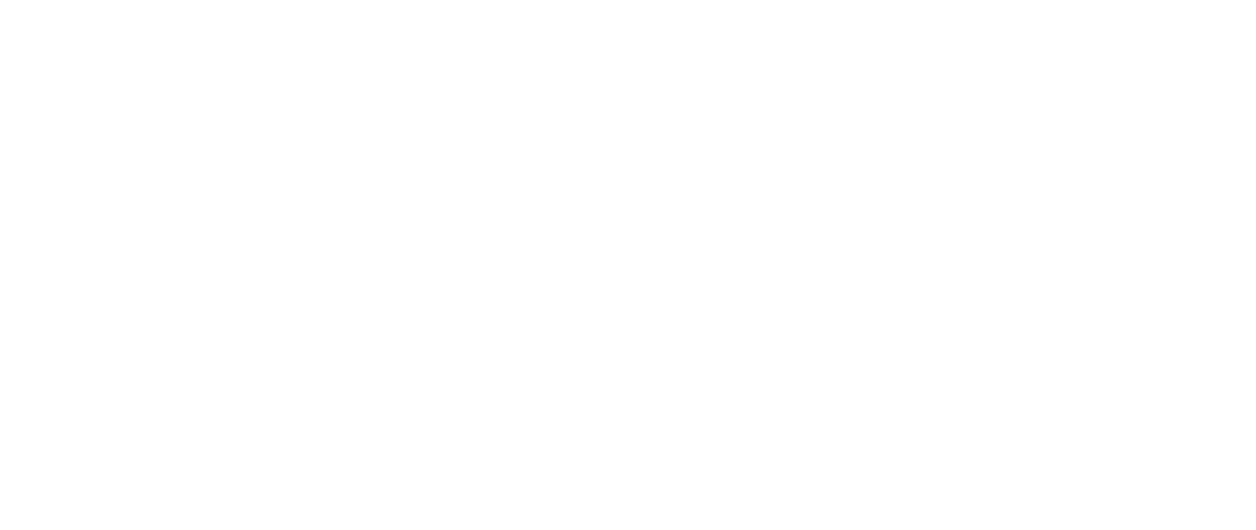 Ludus - ShenanArts, Inc.