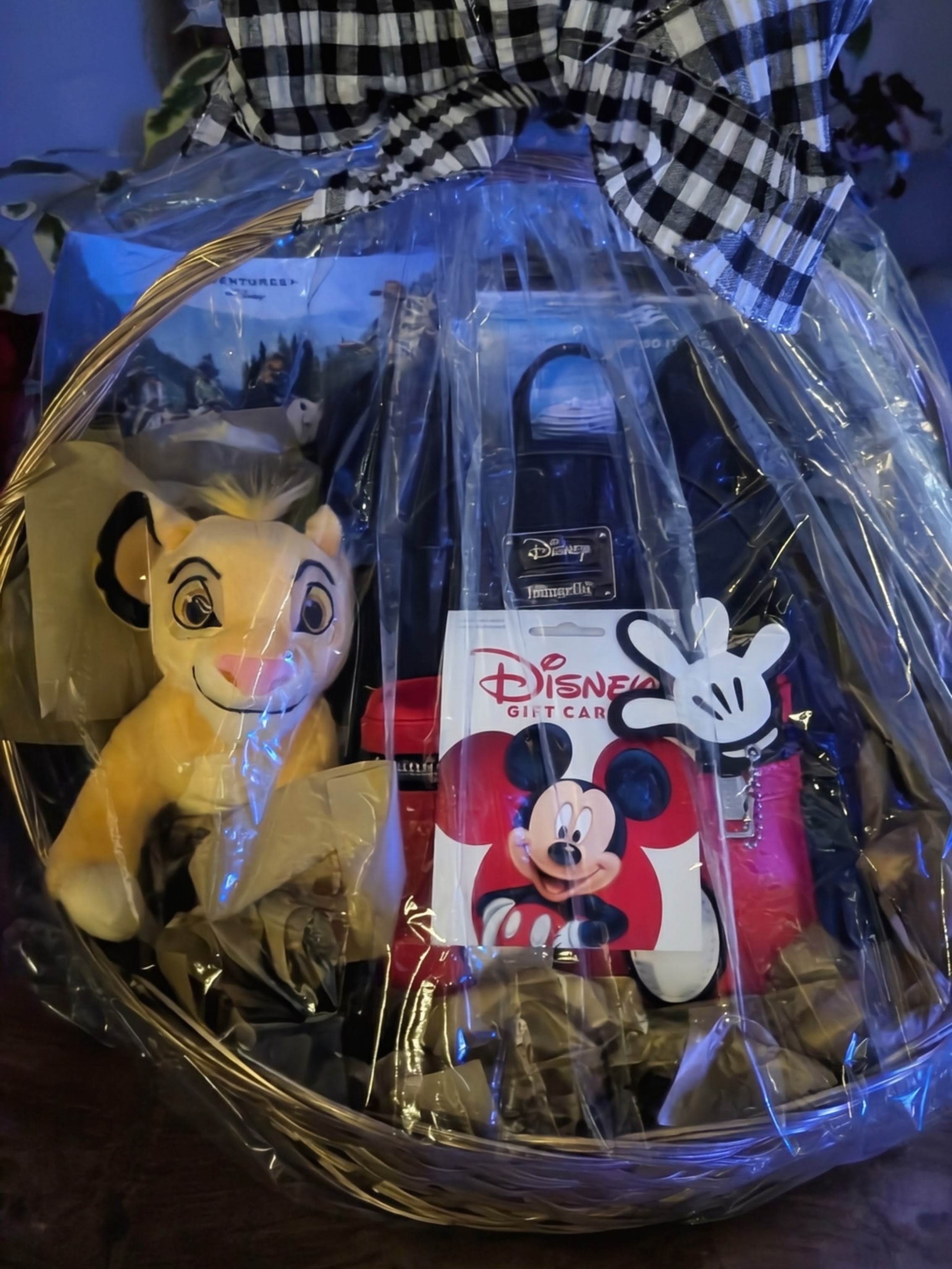 Ludus - St Xavier High School Music